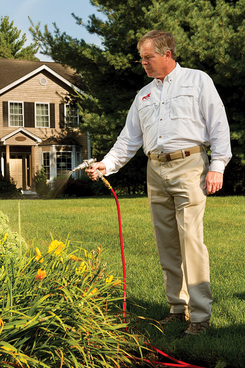 Mosquito and tick control services | Fox Pest Control Mosquito ...