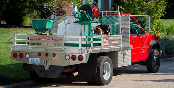 Fox Pest Control Ri